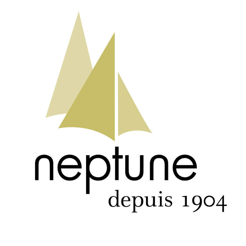 Neptune Corporate design - Exsample